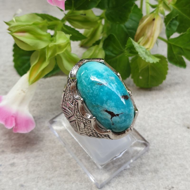 Jual Natural pirus Persia | Shopee Indonesia