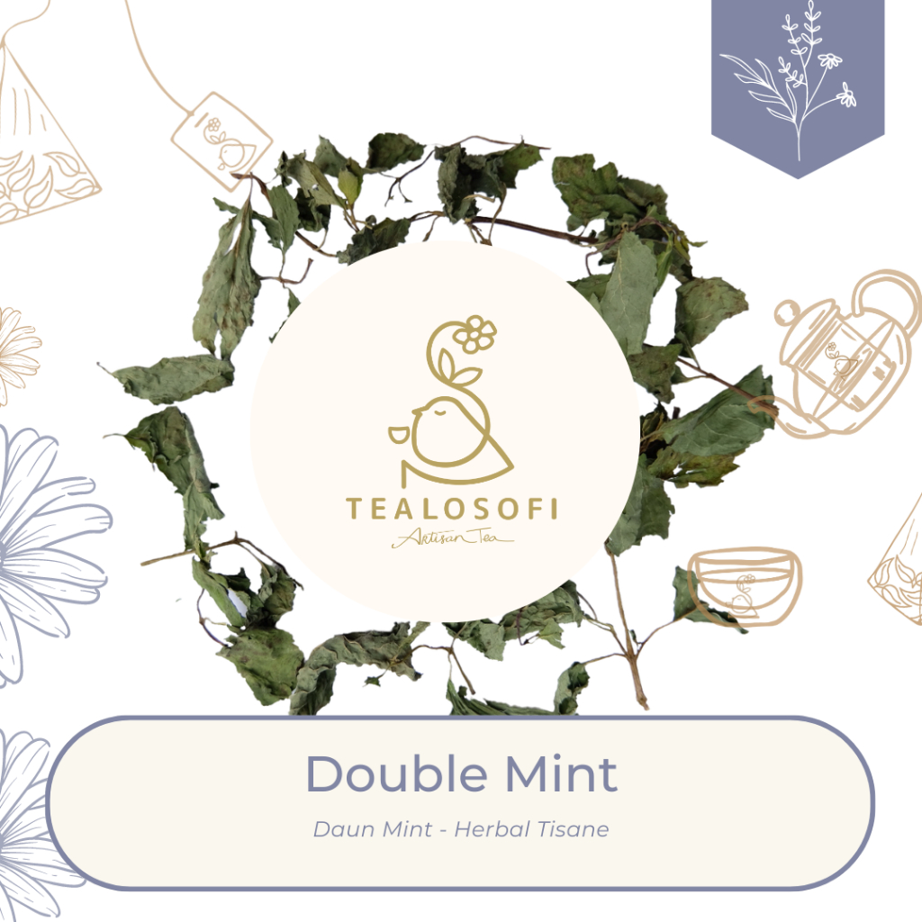 Jual Double Mint - Herbal Leaf Tisane Daun Menthol Teh Kering Tealosofi ...