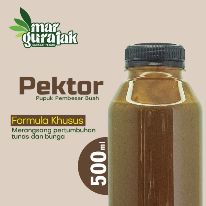 Jual PEKTOR | Shopee Indonesia