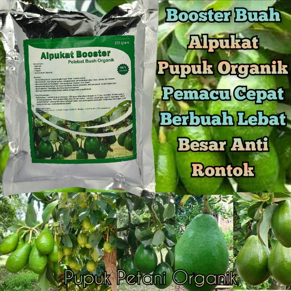Jual Pupuk Perangsang Buah Alpukat 250gr | Pupuk Booster Organik Alpukat Agar Lebih Lebat ...