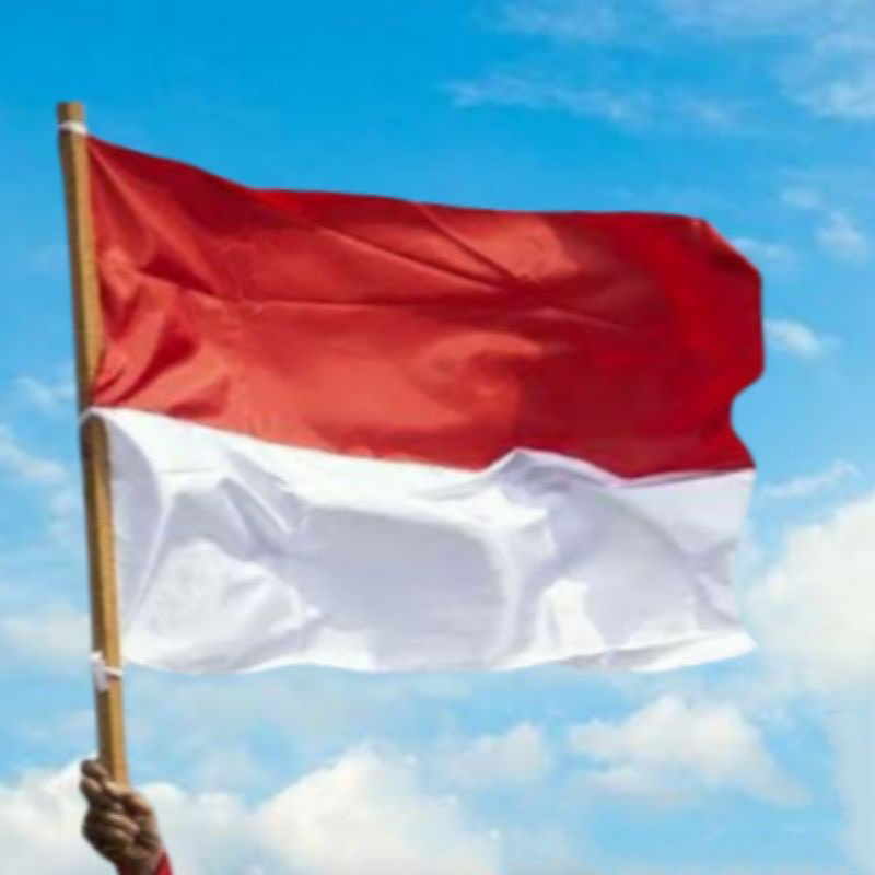 Jual BENDERA MERAH PUTIH INDONESIA BENDERA 17AN MERAH PUTIH | Shopee ...