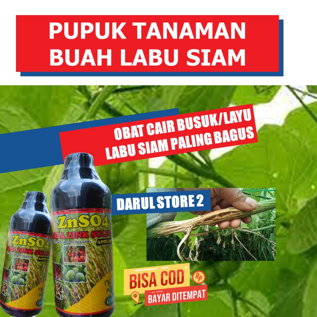 Jual 500 ml ZNSO Pupuk Mencegah Penyakit Bulai Daun Labu Siam - Obat ...