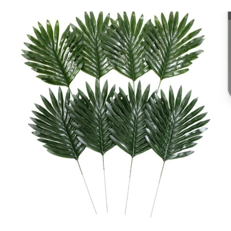 Jual daun palem jari atau palem kelapa | Shopee Indonesia