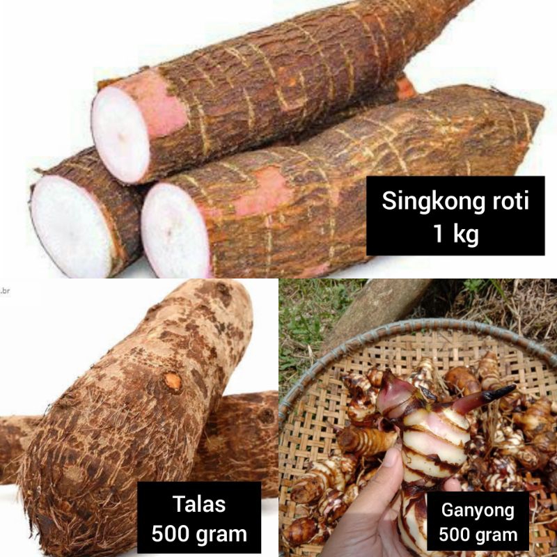 Jual PAKET UMBI UMBIAN (Singkong roti 1 kg,talas 1 kg, ubi ganyong 1 kg ...