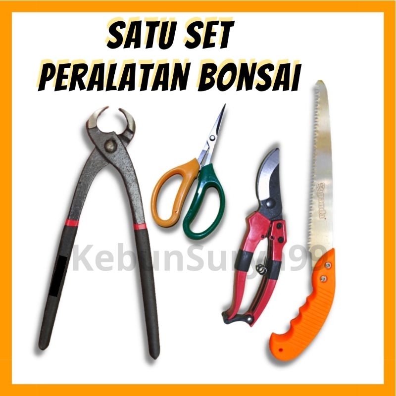 Jual Paket Alat Bonsai Satu Set Tinggal Pakai Catok Modifikasi Tajam Gergaji Gunting Dahan ...