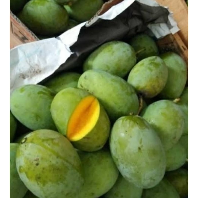 Jual mangga kuweni manis 1kg | Shopee Indonesia