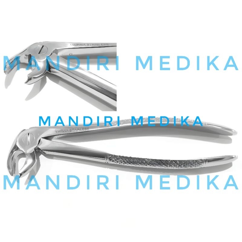Jual Extracting Forcep Tang Gigi Dewasa Lower Molar Right Fig.24 Marwa ...
