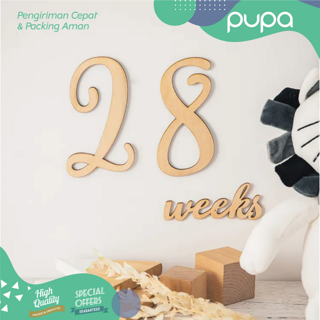 Jual Baby Milestones Numbers | Wooden Milestone Card Kartu Angka Bayi ...