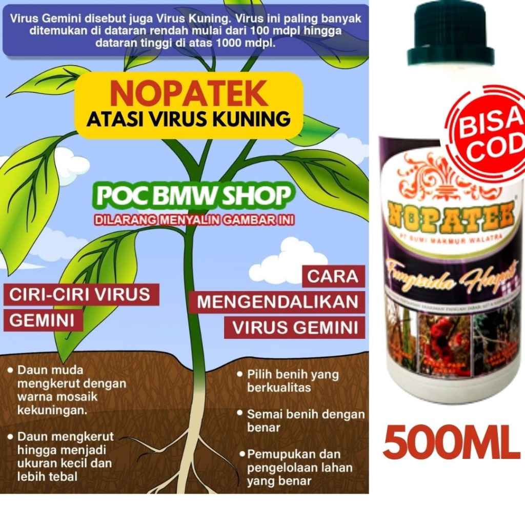 Jual Nopatek Fungisida Hayati Obat virus kuning gemini Hama Penyakit ...