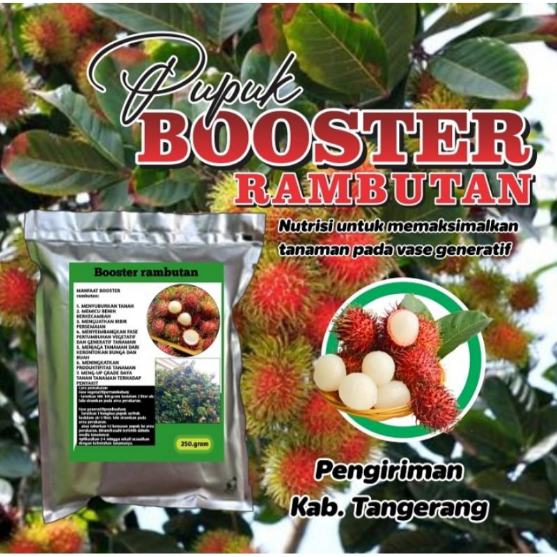 Jual Pupuk Booster Rambutan perangsang bunga dan pelebat buah anti rontok 250 gram | Shopee ...