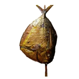 Jual Ikan Semar Terlengkap & Harga Terbaru Mei 2024 | Shopee Indonesia