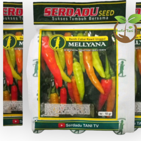 Jual Benih cabe rawit MELLYANA isi 10gram SERDADU SEED | Shopee Indonesia
