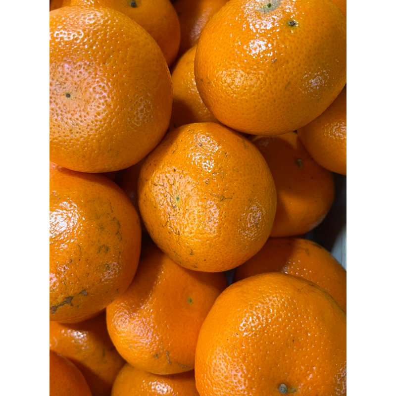 Jual Jeruk murcot Australia manis segar banyak air 1 kg | Shopee Indonesia