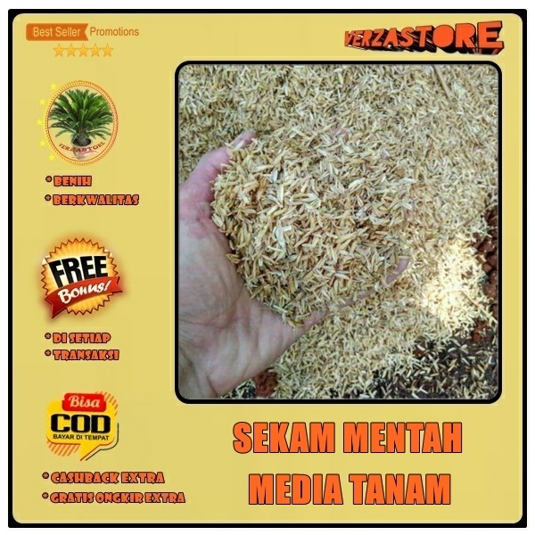 Jual Media Tanam Sekam Mentah Kulit Padi 1Kg Perpack | Shopee Indonesia