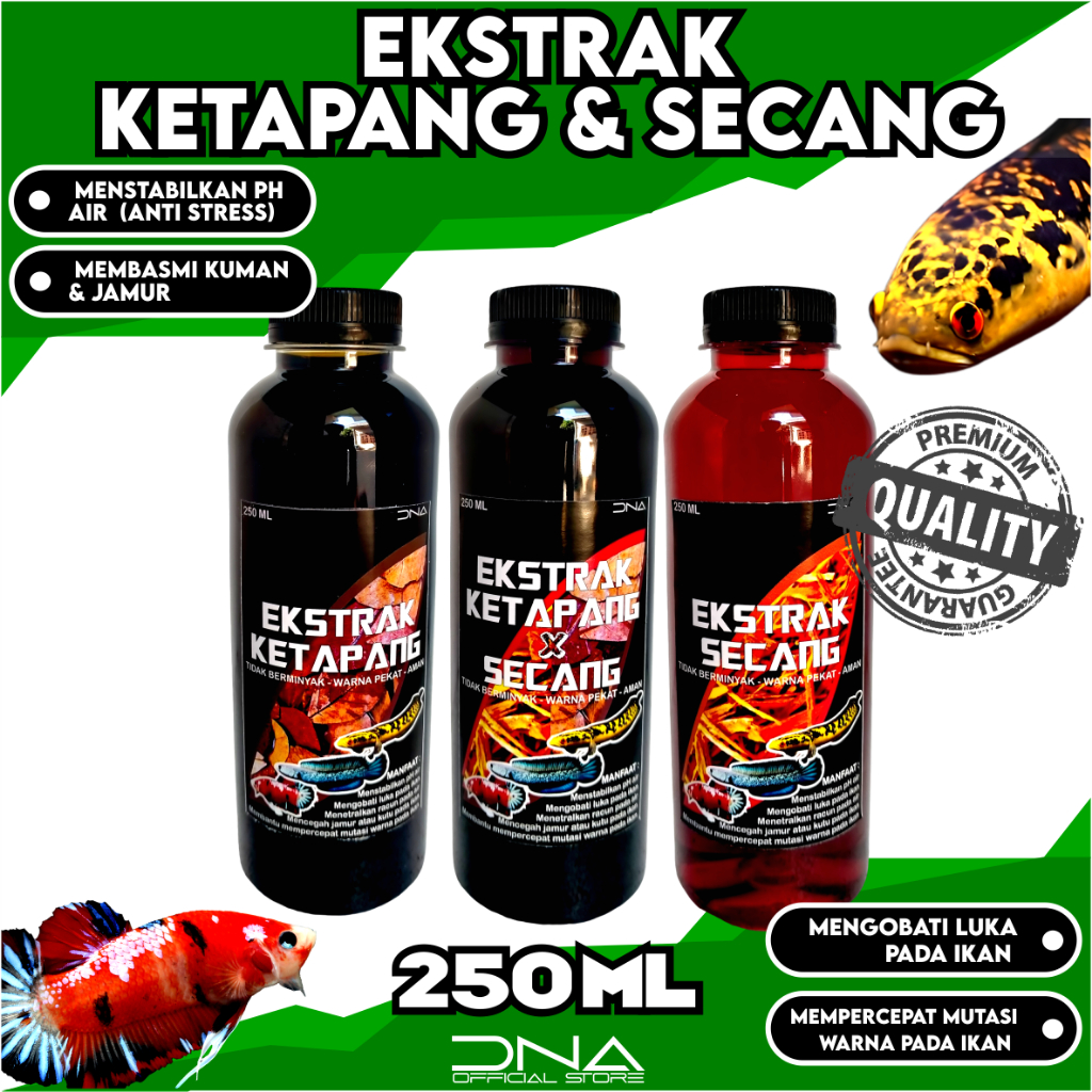 Jual Ekstrak DAUN KETAPANG × KAYU SECANG 250ML lebih Pekat tidak berminyak untuk Ikan Cupang ...