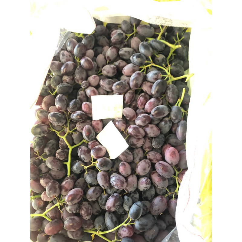 Jual Anggur Autumn Royal Yuji / Kg | Shopee Indonesia