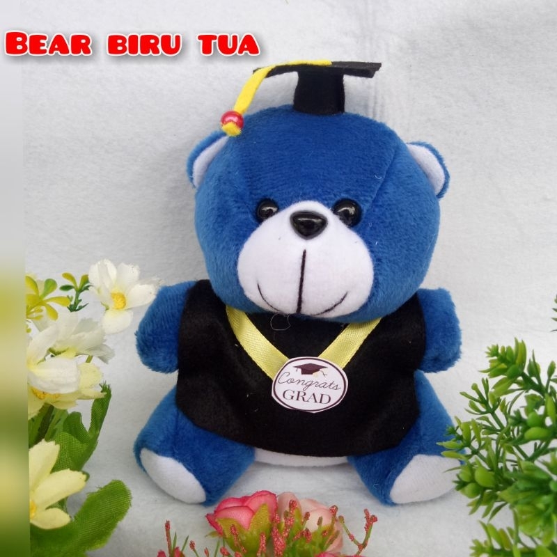 Jual BONEKA WISUDA MINI ±15-16 CM /BONEKA BERUANG, PANDA, WINNIE THE ...