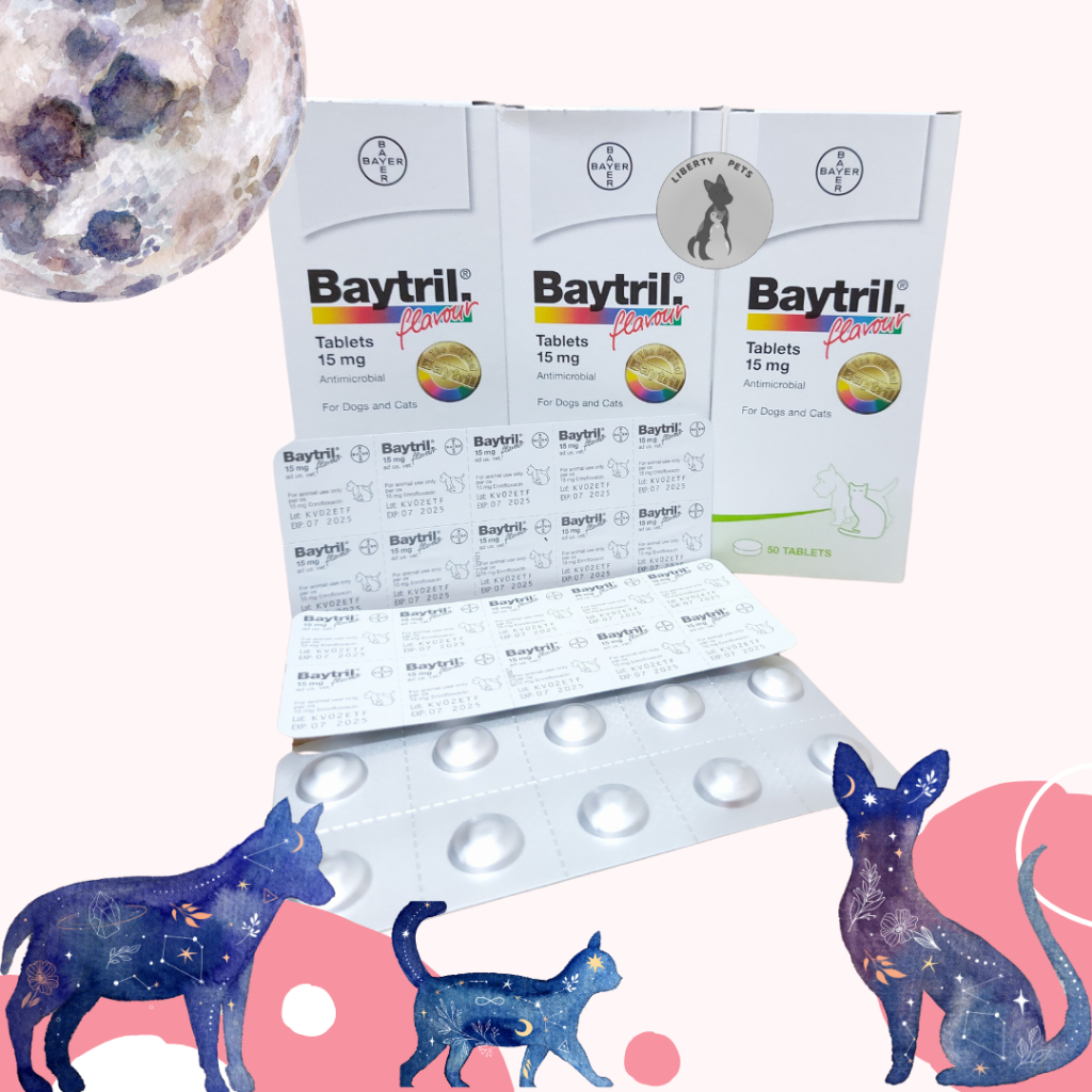 Jual Baytril Flavour Tablet Antibiotik Kucing dan Anjing 15 mg (1 ...
