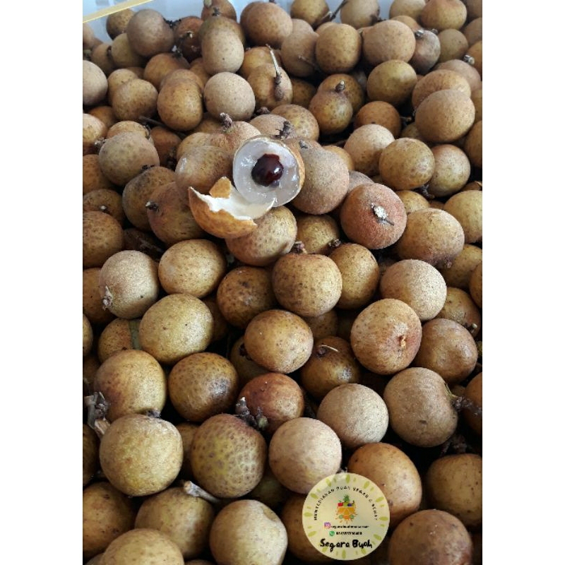 Jual Buah Lengkeng Thailand Gold Manis 500 gram & 1000 gram (1 kg ...