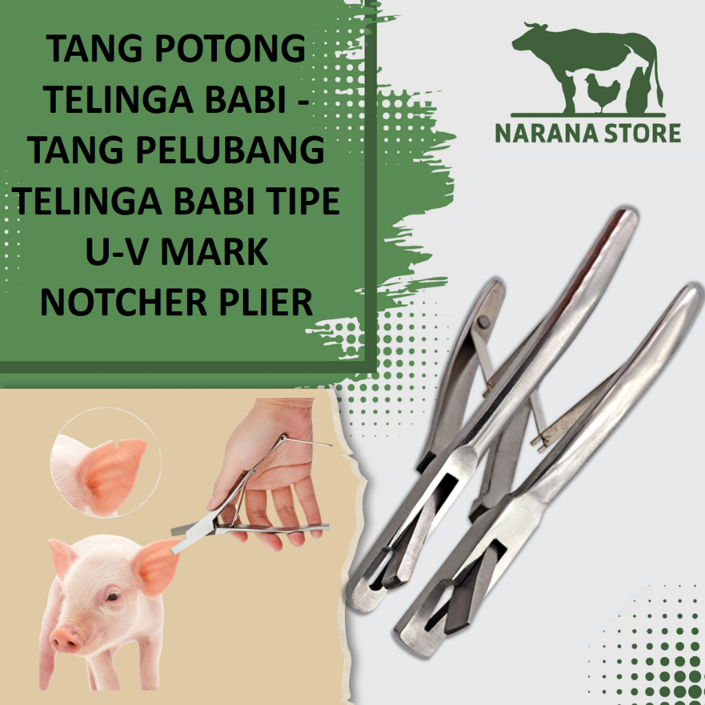 Jual Tang Potong Telinga Babi - Tang Pelubang Telinga Babi Tipe U - V ...
