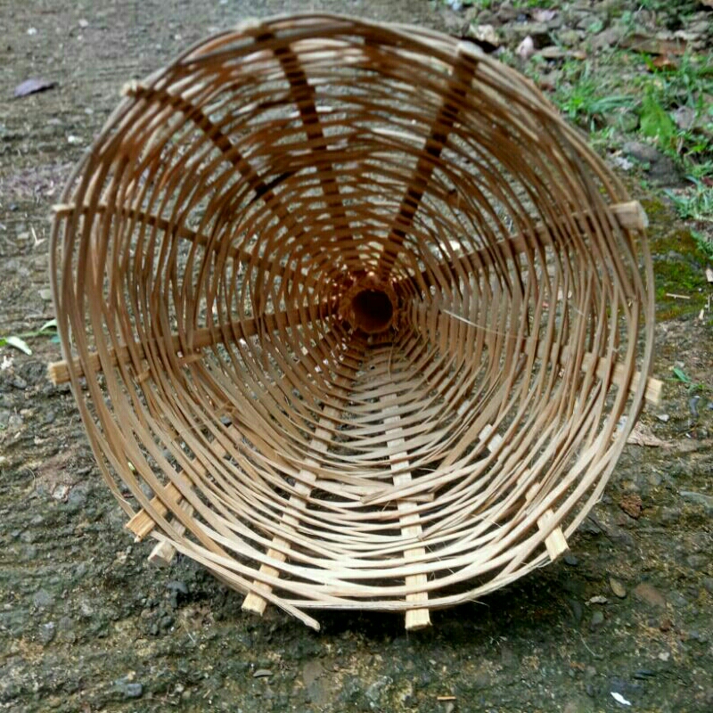 Jual Tarangan Ayam Bertelur Dari Bambu | Shopee Indonesia