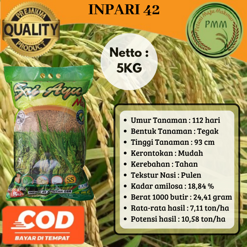 Jual Biji Padi Unggul Inpari 42 Agritan GSR 5kg | Shopee Indonesia