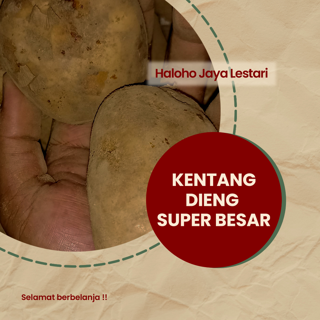 Jual Kentang Dieng Super Besar 1 kg | Shopee Indonesia