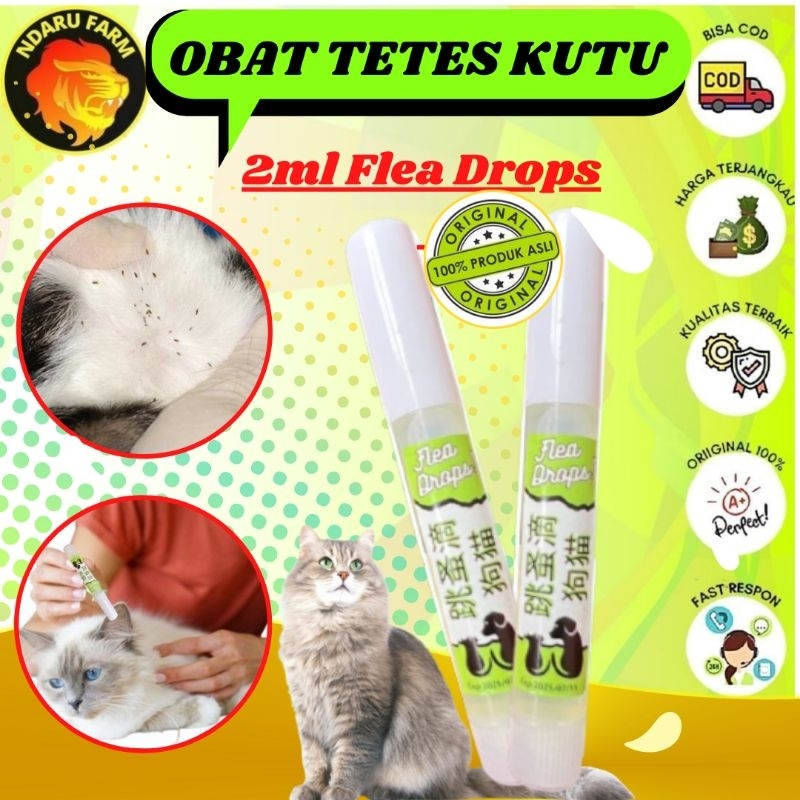 Jual Anti-Kutu Kucing yang Efektif dan Aman FLEA DROPS NDARUFRAM ...