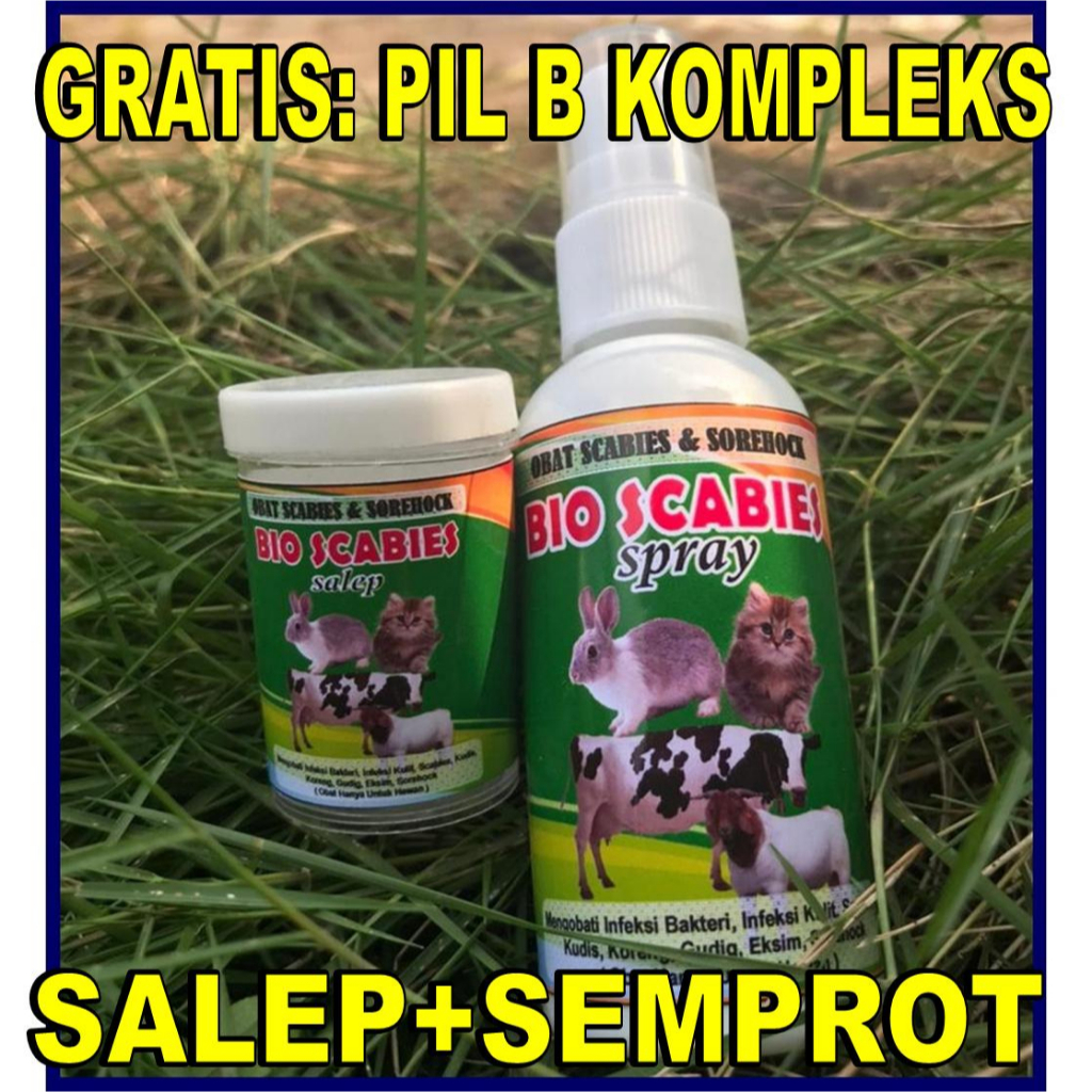 Jual Salep Scabies Spray, Obat Scabies Semprot, Obat Sorehock Hewan ...