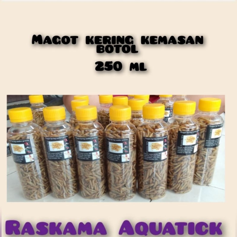 Jual Maggot kering/Maggot kemasan botol 250ml/Magot/makanan ikan canna ...