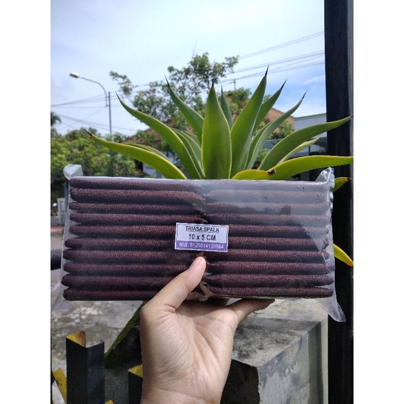 Jual spalk infus anak ukuran 10x 5cm lapis kain busa | Shopee Indonesia