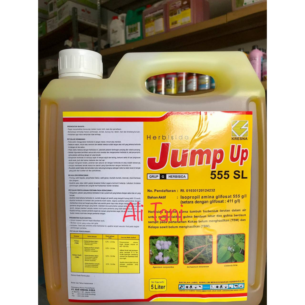 Jual JUMP UP 555 SL Kemasan 5 Liter Herbisida Sistemik/Racun Rumput ...