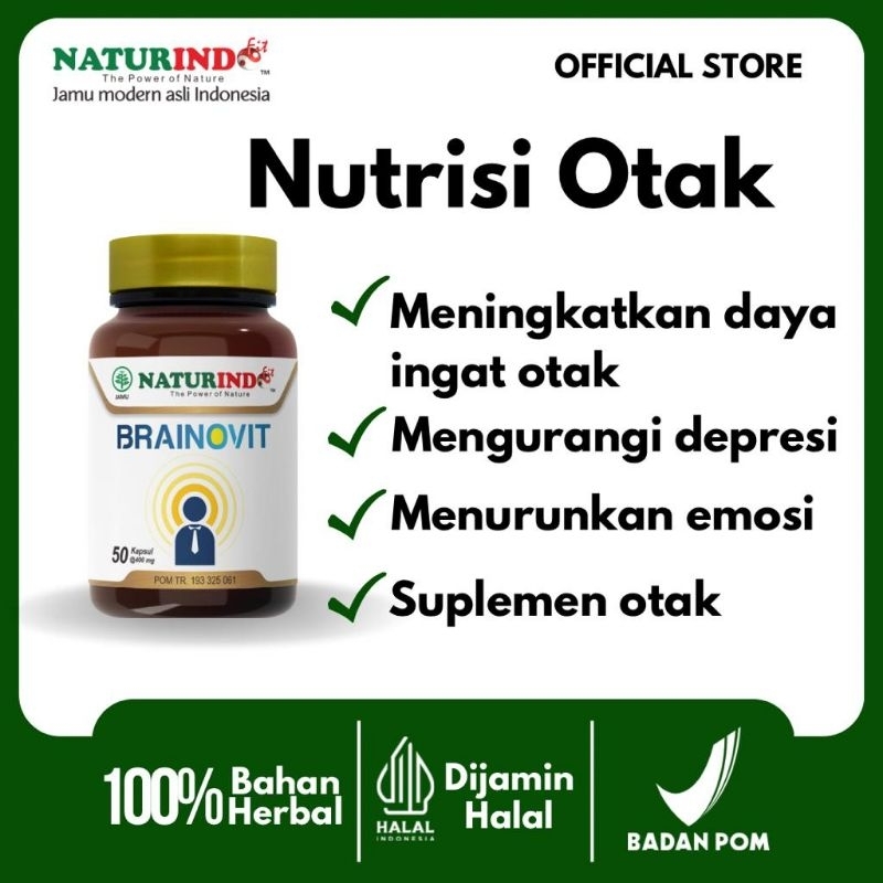 Jual Nutrisi Otak Vitamin Otak Obat Herbal Meningkatkan Daya Ingat Otak ...