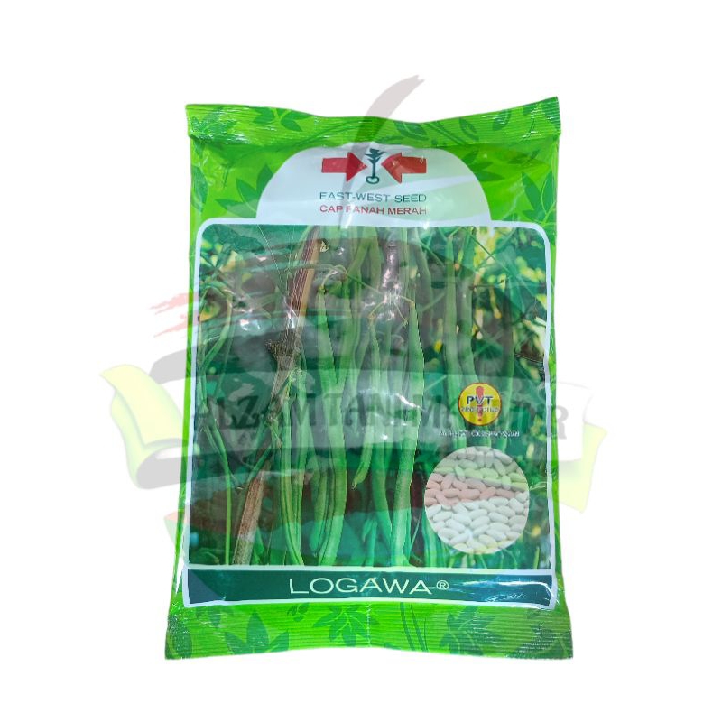 Jual Benih Buncis LOGAWA isi 500gram Panah Merah | Shopee Indonesia
