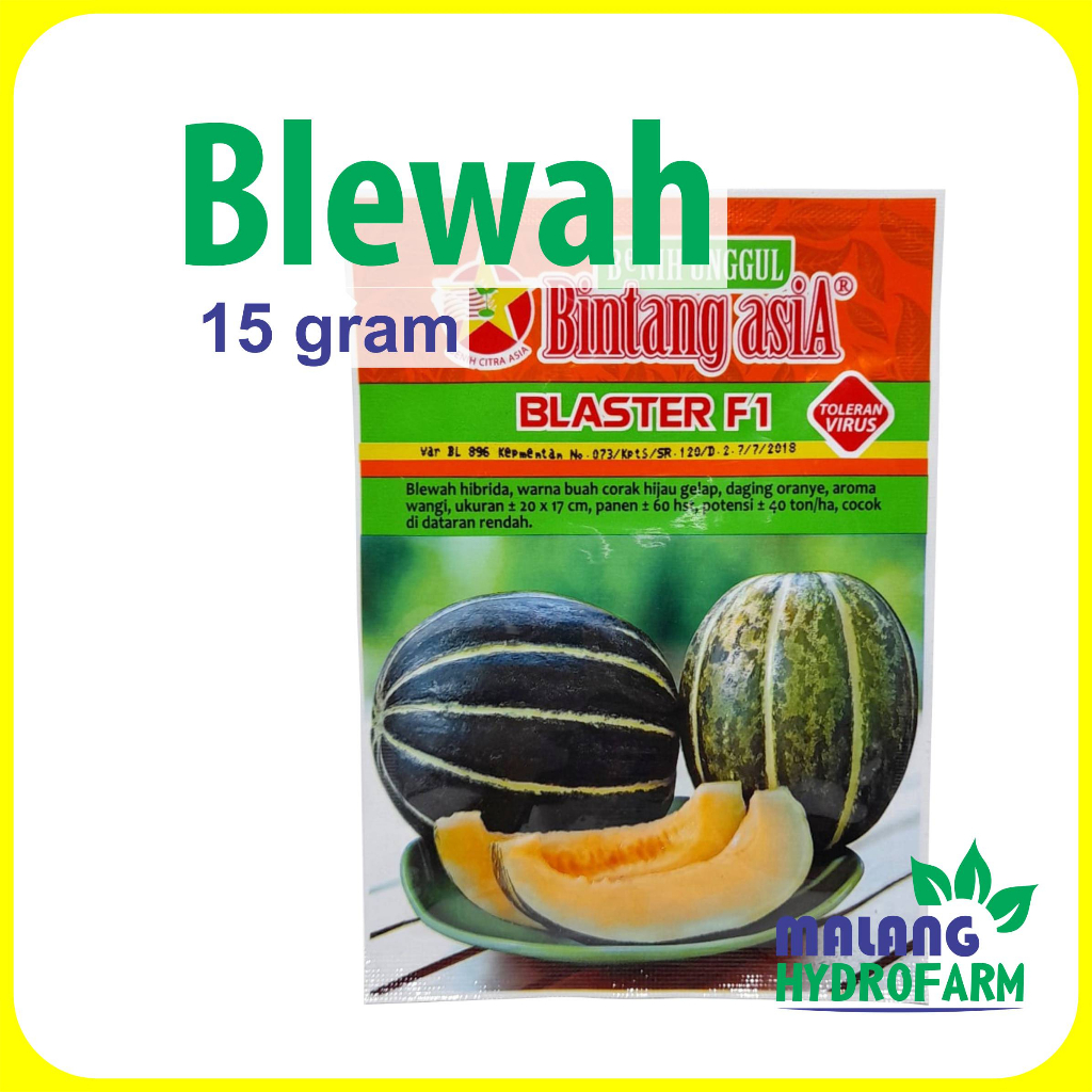 Jual Benih Blewah Blaster F1 15 gram Bintang Asia dataran rendah ...