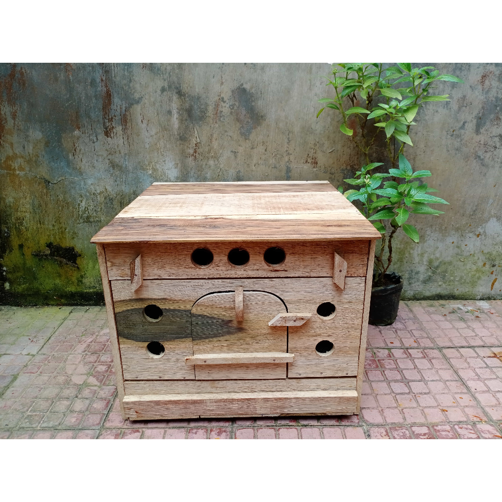 Jual Gupon Merpati Mewah Kayu Sanakeling Jumbo Model Pintu Double ...