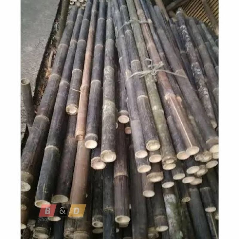 Jual Bambu Potong Bambu Utuh Bulat Berbagai Ukuran. | Shopee Indonesia
