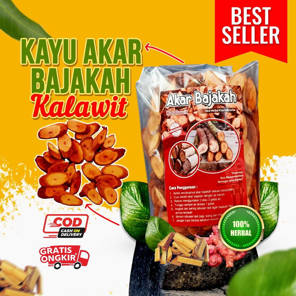 Jual Akar Kayu Bajakah (Kalawit) Asli Kalimantan / Kayu Bajakah Asli ...