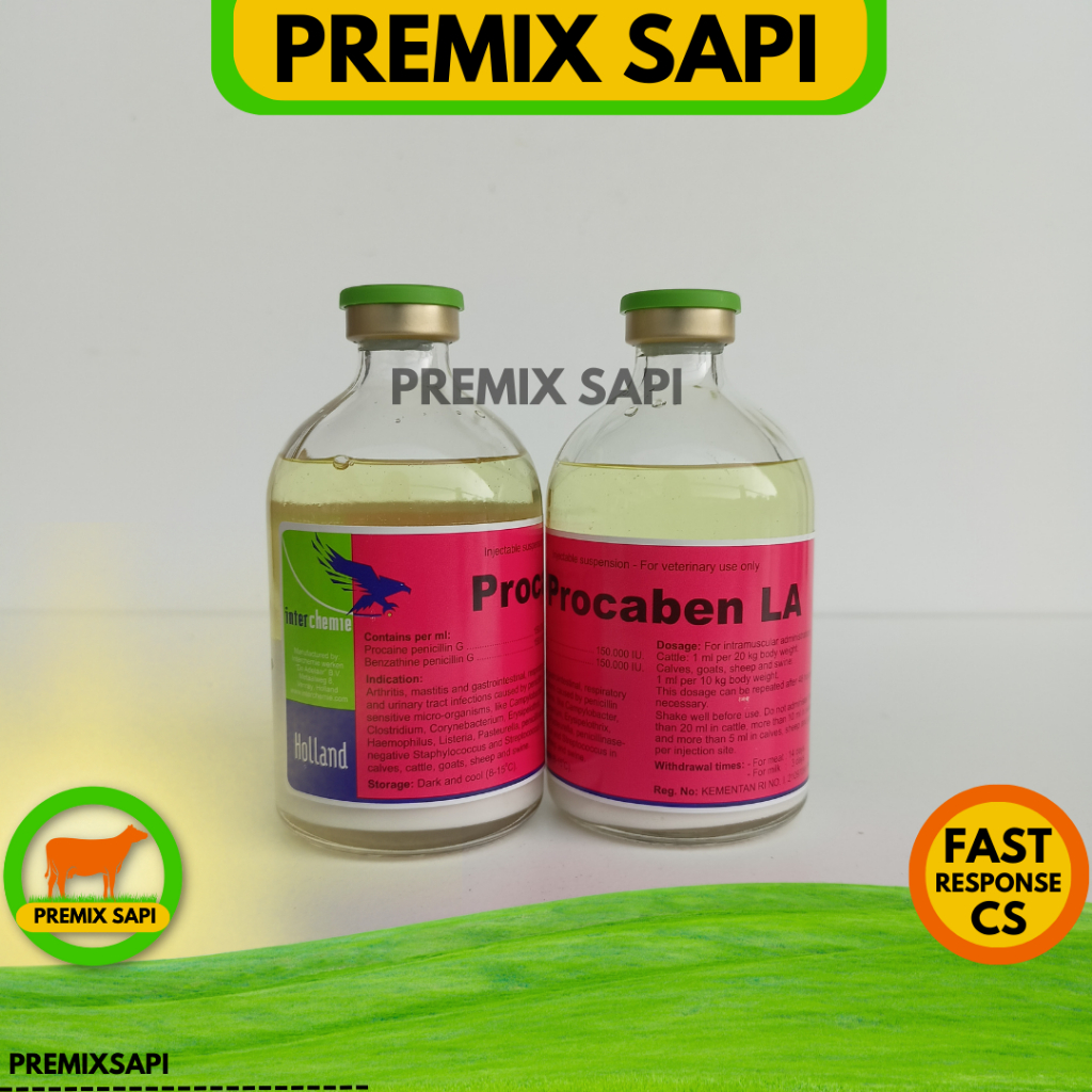 Jual PROCABEN LA pengganti Penstrep 400 Original | Shopee Indonesia