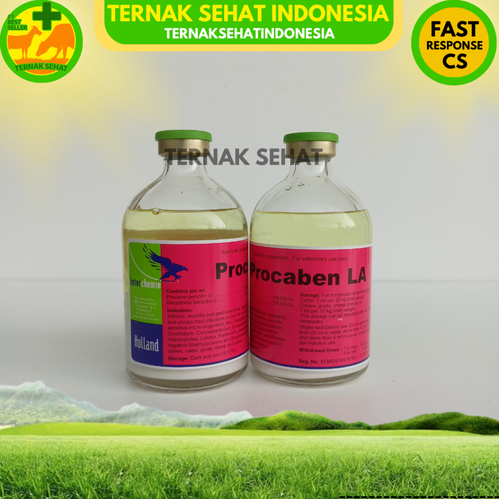 Jual PROCABEN LA pengganti Penstrep 400 Original | Shopee Indonesia