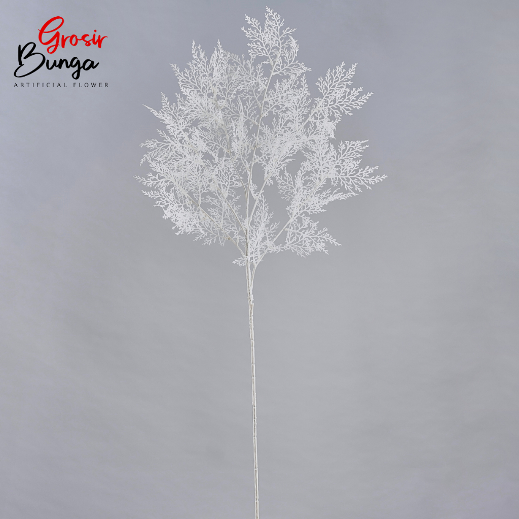 Jual Daun Cemara Putih Jumbo - Uk tinggi kurleb 100 cm x lebar 60 cm ...