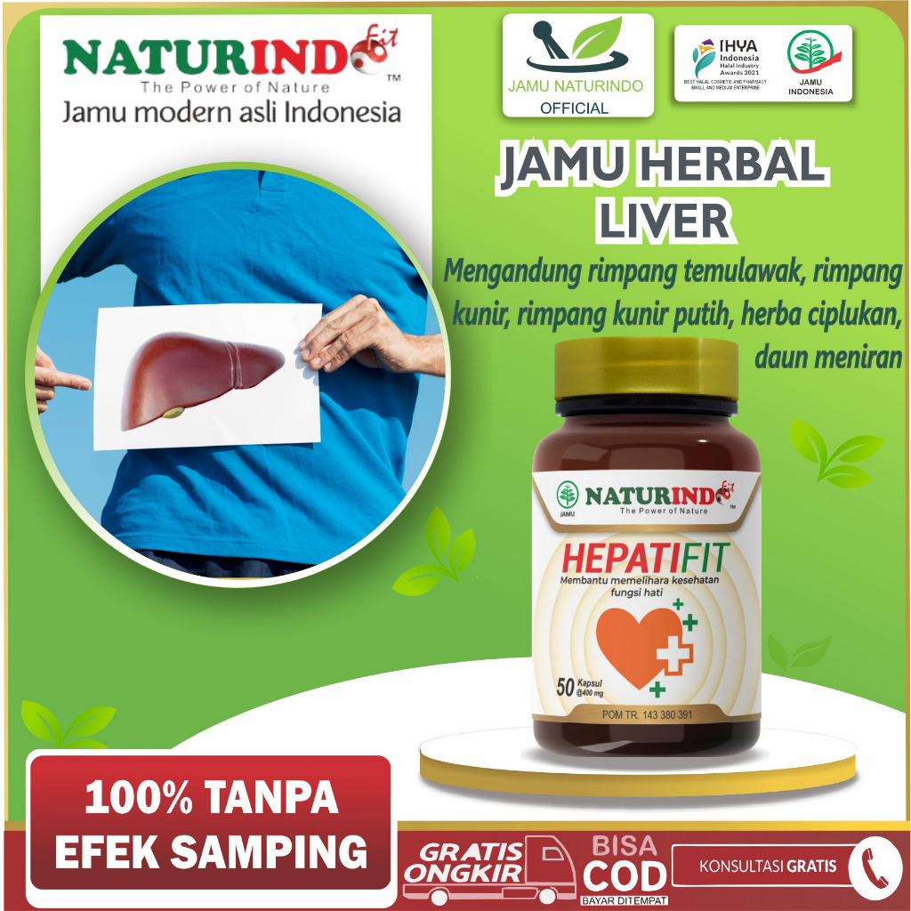 Jual Obat Liver Batu Empedu Herbal Hepatifit Naturindo | Shopee Indonesia