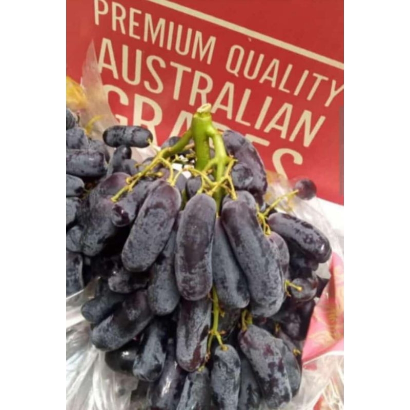 Jual Anggur Moondrop Sapphire / 1 Box / +/- 9kg | Shopee Indonesia