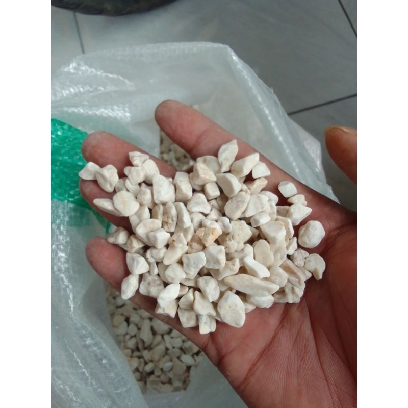 Jual Batu krikil putih 1kg/Batu akik putih/Batu putih/Batu hias pot ...