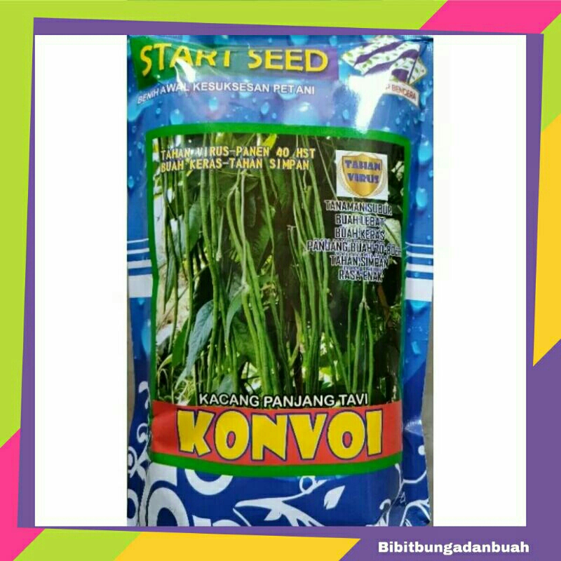 Jual Benih Kacang Panjang Tavi KONVOI 500 Gram | Shopee Indonesia