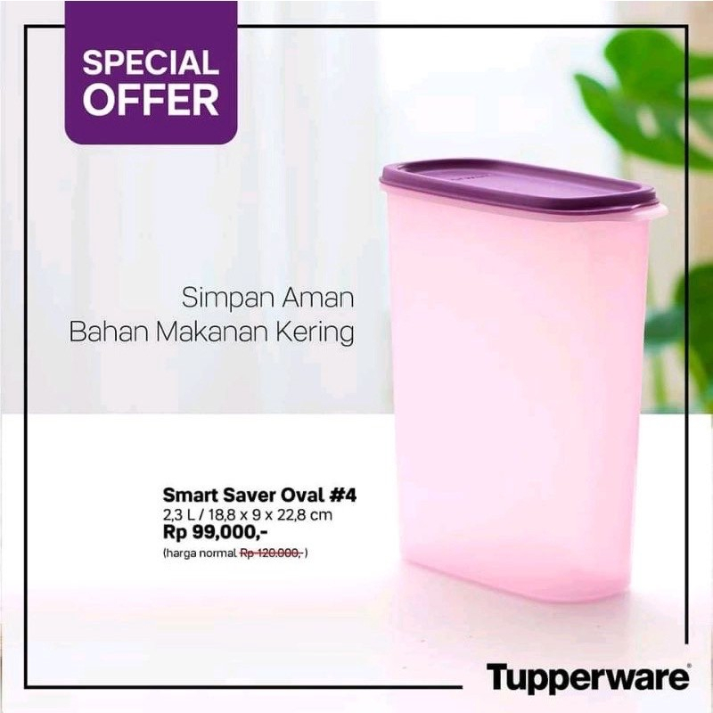 Jual Tupperware smart saver oval 4 toples snack | Shopee Indonesia