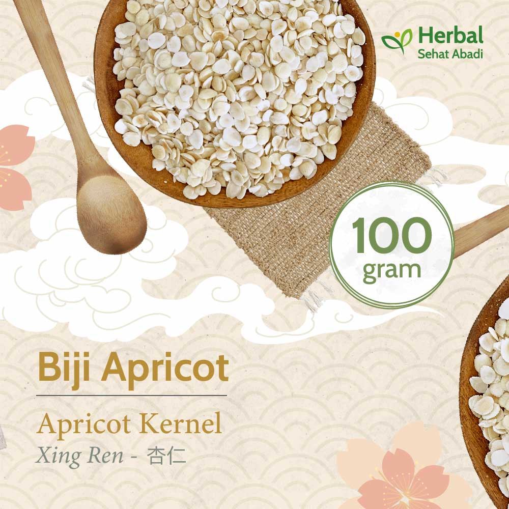 Jual Apricot Kernel 100 gram / Xing Ren (杏仁) / Biji Apricot | Shopee ...