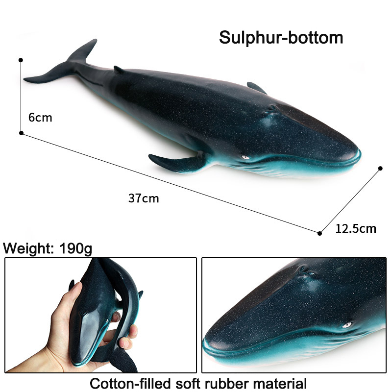 Jual Mainan Hiu Megalodon Shark Simulasi Hewan Laut Action Figures ...