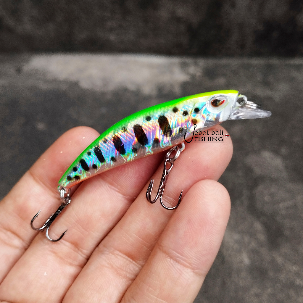 Jual Lure Minnow UL Sinking 60s - Umpan Pancing Casting UL - Ultralight ...