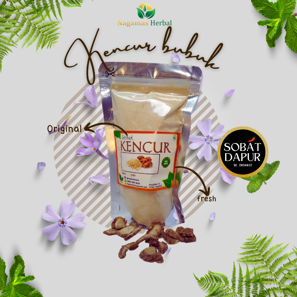 Jual Kencur Bubuk 100gr / Aromatic Ginger Powder Original 100% | Shopee ...